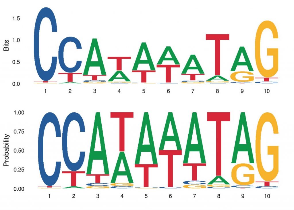 R包ggseqlogo |绘制序列分析图 – 王进的个人网站