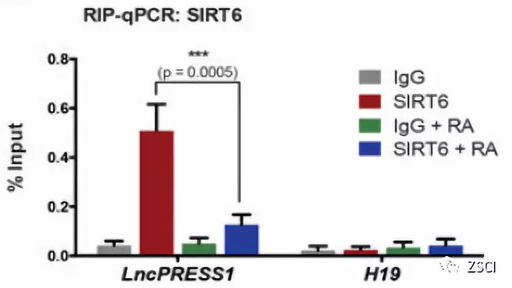 硬核汇总：RIP、RNA-pull-down和FISH实验原理与应用！ – 王进的个人网站