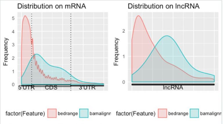 RNAseq reads 分别在3’UTR，CDS以及5’UTR区域的分布plotprofile——R包Guitar – 王进的个人网站