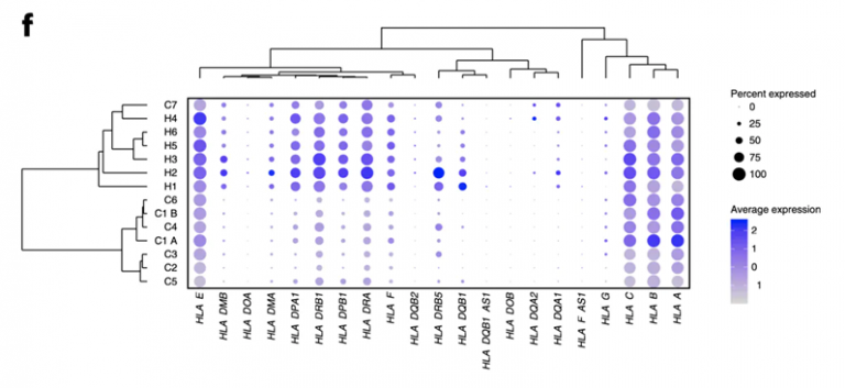 FlexDotPlot：灵活的点图绘制 – 王进的个人网站
