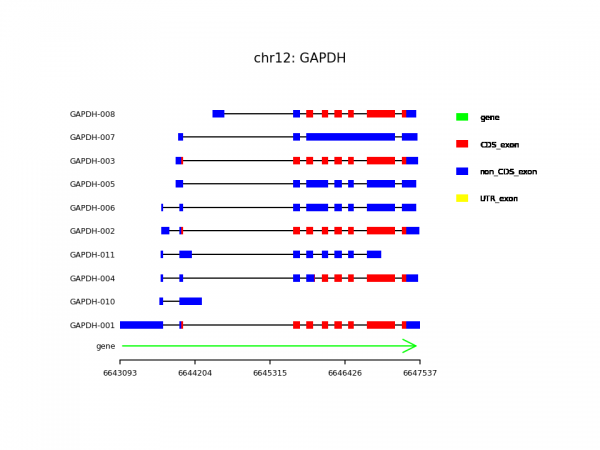 python-根据gtf绘制基因全部转录本结构图 – 王进的个人网站