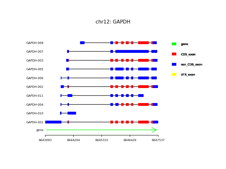 python-根据gtf绘制基因全部转录本结构图 – 王进的个人网站