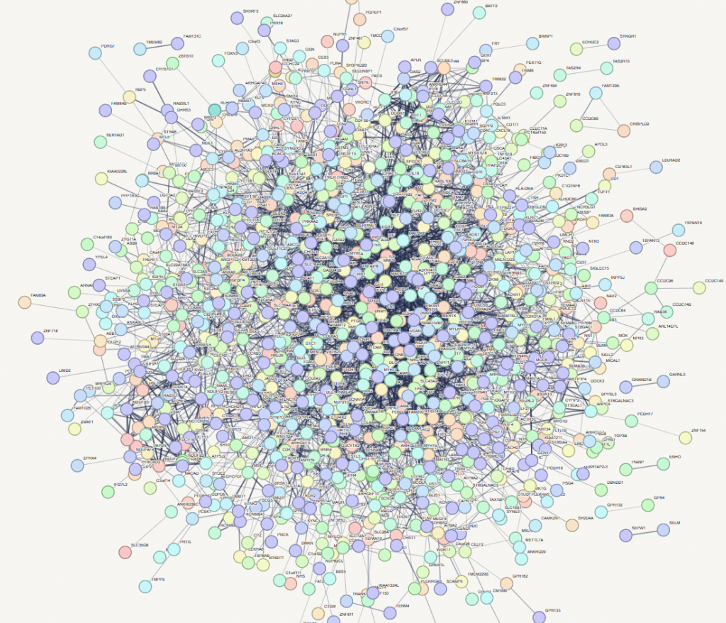 STRING网站+Cytoscape软件制作精美蛋白互作网络图(PPI) – 王进的个人网站