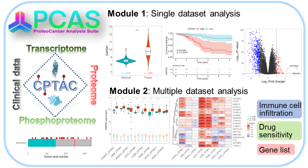PCAS：利用CPTAC蛋白组学数据进行多组学癌症研究的R包及Shinyapp – 王进的个人网站